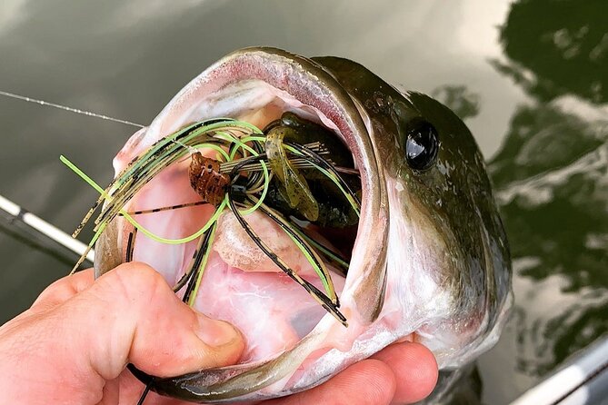 Kayak fishing guides and scenic paddle tours - Final Thoughts