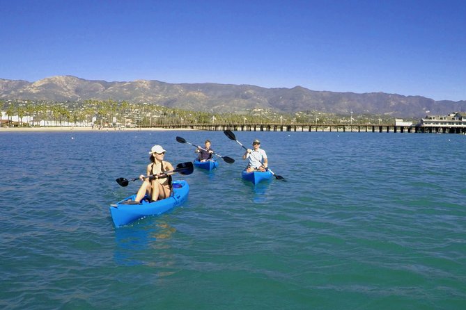 Kayak or Stand Up Paddle Board Rental - The Experience’s Highlights and Unique Features