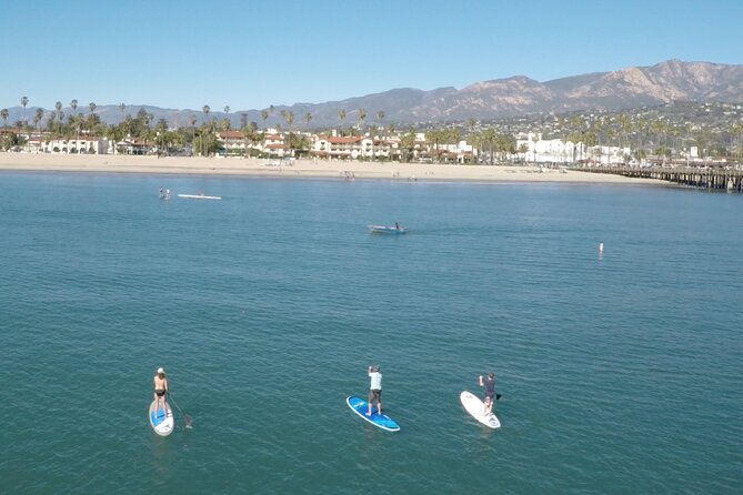 Kayak or Stand Up Paddle Board Rental - Authentic Review Insights: What Travelers Really Say