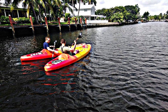 Kayak Rental: Explore Mangroves and Self-Navigated River Eco Paddle - Key Points