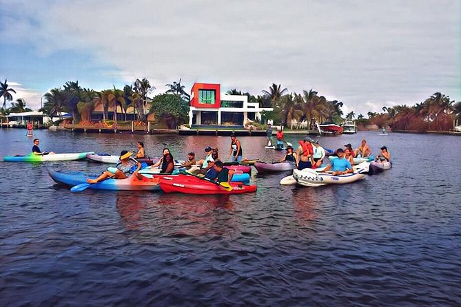 Kayak Rental: Explore Mangroves and Self-Navigated River Eco Paddle - Equipment & Inclusions: What You Get for $29