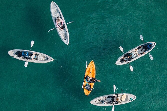 Kayak Rental for Two People in La Jolla - Exploring La Jolla by Kayak: What to Expect
