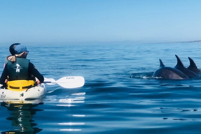 Kayak Rental for Two People in La Jolla - Frequently Asked Questions