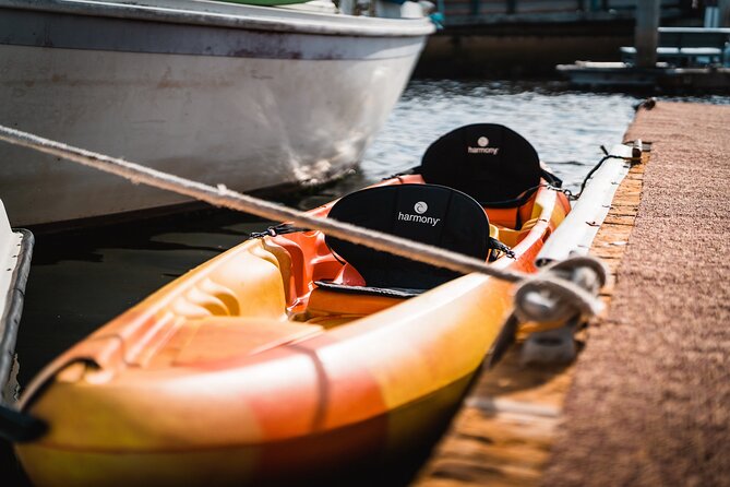 Kayak Rental in Redondo Beach, USA - Discovering Redondo Beach by Kayak