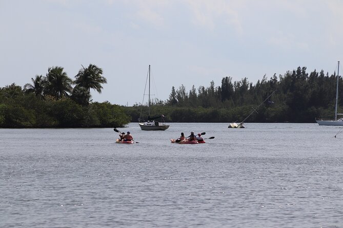 Kayak Rental in Vero Beach - Why This Kayaking Experience Is Worth It
