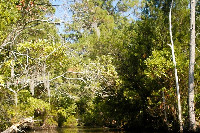 Kayak Rental on the Outer Banks - Exploring Kayak Rental on the Outer Banks: A Practical Guide