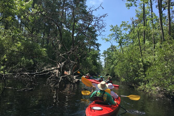 Kayak Rental on the Outer Banks - Range of Kayaks and Equipment