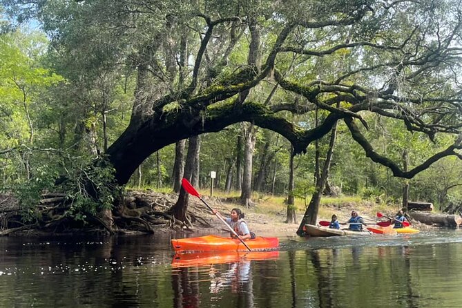 Kayak Rental on the Waccamaw River - Key Points