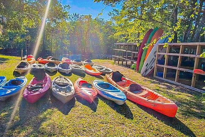 Kayak Rental on the Waccamaw River - The Itinerary and What to Expect