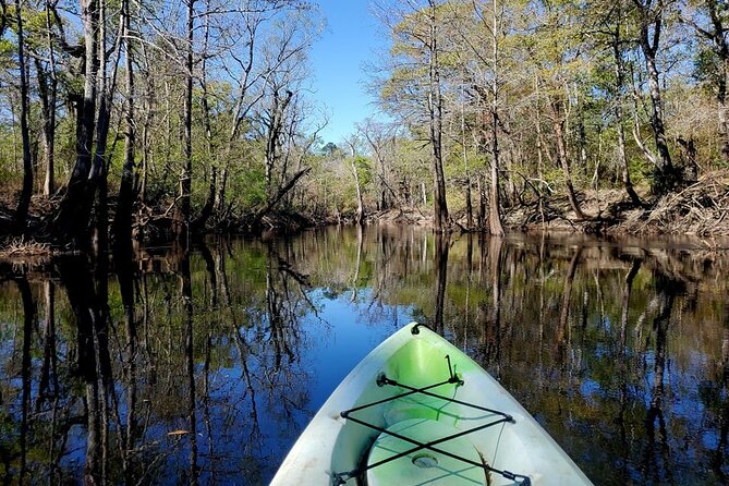 Kayak Rental on the Waccamaw River - Authentic Experiences from Past Visitors