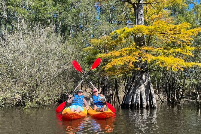 Kayak Rental on the Waccamaw River - Practical Details: What You Need to Know