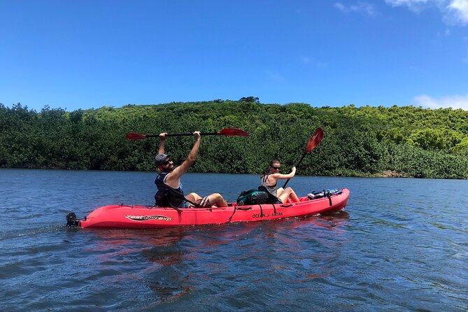 Kayak Rentals in Kauai - Real Insights from Reviewers