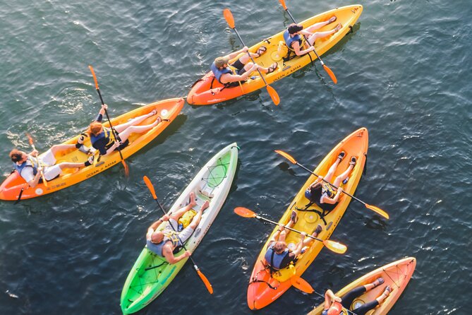 Kayak Rentals on Lady Bird Lake - Who Will Enjoy This Experience?