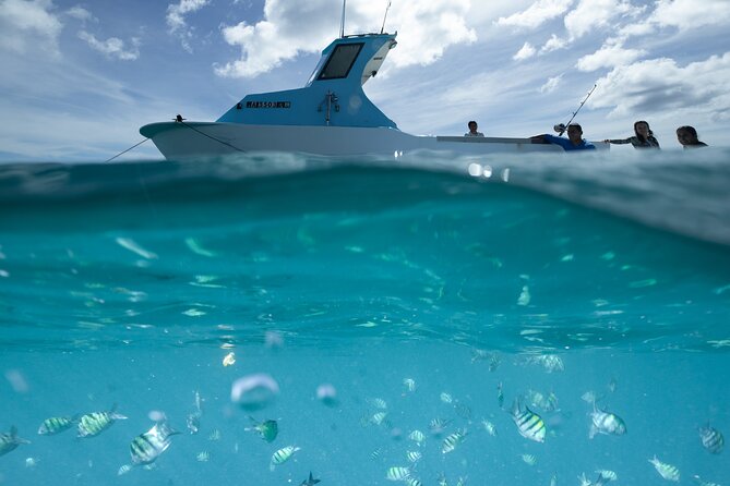 Kayak, Snorkel, and Surf with Turtles in Honolulu - Exploring the Itinerary: What to Expect on this Water Adventure