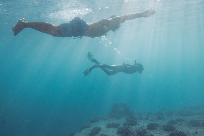 Kayak, Snorkel, and Surf with Turtles in Honolulu - Who Would Love This Tour?