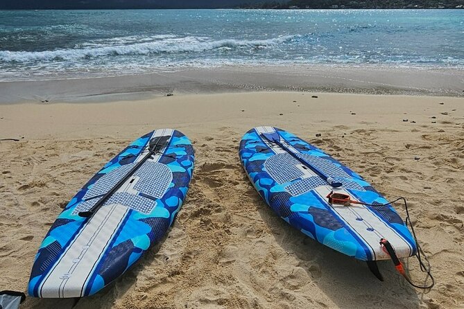 Kayak Stand Up Paddle Board SUP Rental - Additional Equipment and Options