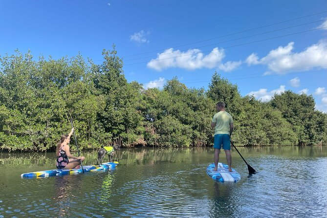Kayak Stand Up Paddle Board SUP Rental - The Booking Process and Flexibility