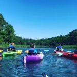 Kayak The Creek Nature Tour - Why Youll Love This Experience