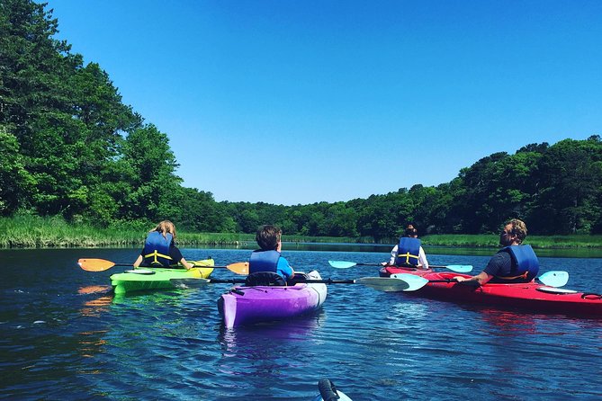 Kayak The Creek Nature Tour - Why Youll Love This Experience