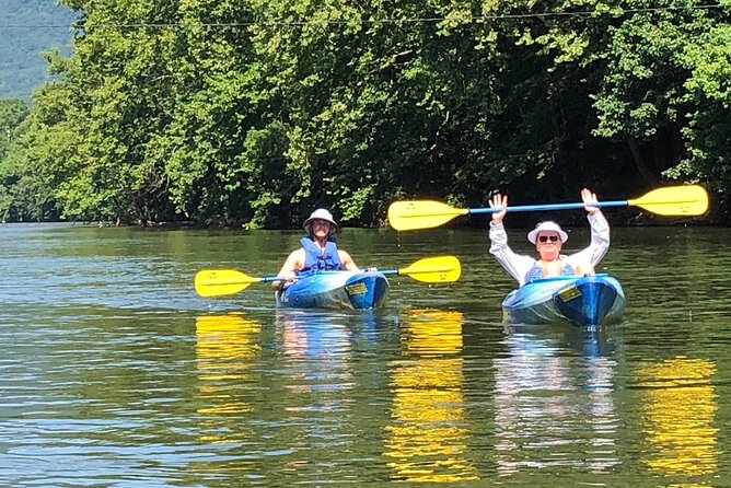 Kayak tour of Jamestown Island (Small Group or Private) - Who Will Enjoy This Tour?  