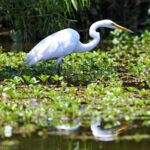 Kayak Tour of Lake James - FAQs