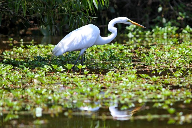Kayak Tour of Lake James - FAQs