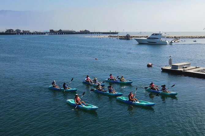 Kayak Tour of Santa Barbara with Experienced Guide - Frequently Asked Questions