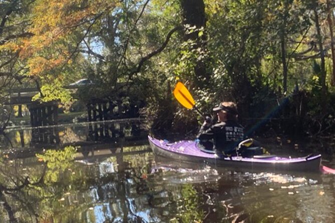 Kayak Tour Of The Honey Island Swamp and Backwaters - Exploring Honey Island Swamp by Kayak: A Genuine Nature Escape
