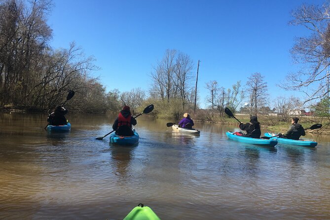 Kayak Tour Of The Honey Island Swamp and Backwaters - Why This Experience Offers Exceptional Value