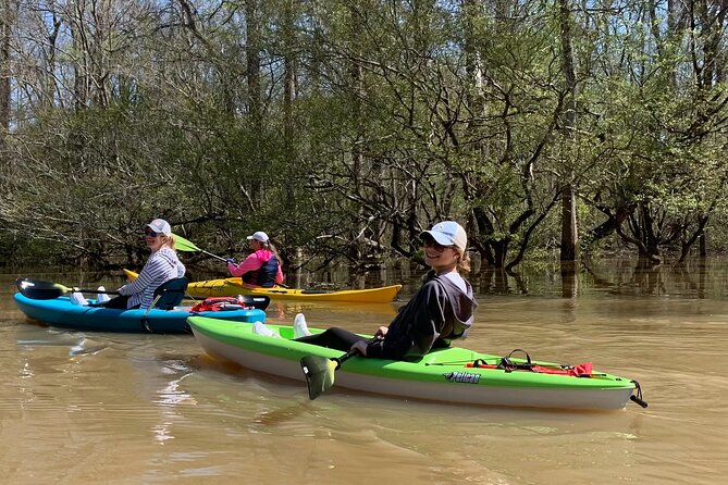 Kayak Tour Of The Honey Island Swamp and Backwaters - Practical Tips for Your Kayak Adventure