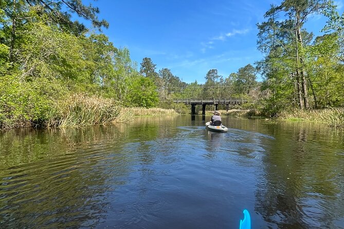 Kayak Tour Of The Honey Island Swamp and Backwaters - FAQs