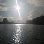 Kayak Tours - The Value of This Kayak Tour