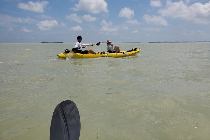 Kayak Trip, 1 Wet Hike + 2 dry hikes in Everglades National Park - An In-Depth Look at the Experience