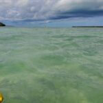 Kayak Trip, 1 Wet Hike + 2 dry hikes in Everglades National Park - Why This Tour Offers Great Value