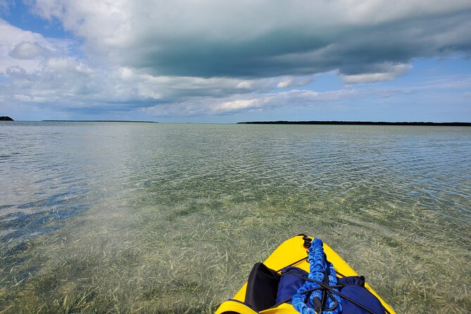 Kayak Trip, 1 Wet Hike + 2 dry hikes in Everglades National Park - The Sum Up