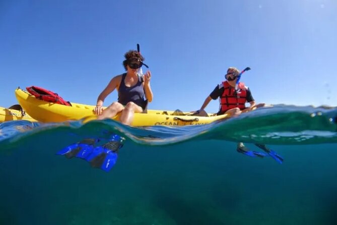 Kayak, Whale Watch and Snorkel - Introduction