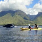 Kayak, Whale Watch and Snorkel - Discovering Maui’s Marine Treasures