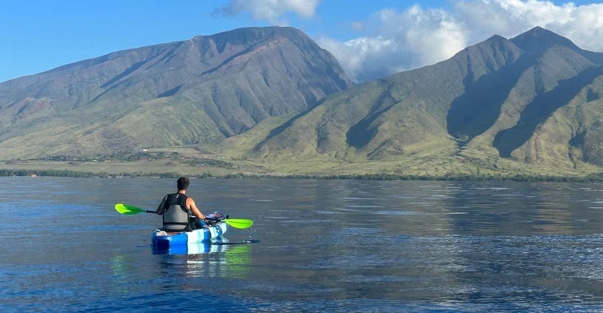 Kayak, Whale Watch And Snorkel At Turtle Town - An In-Depth Look at the Kayak, Whale Watch, and Snorkel Experience