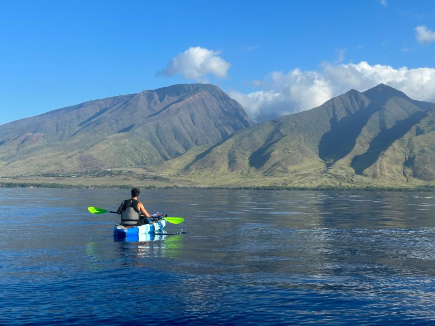 Kayak, Whale Watch And Snorkel At Turtle Town - Authentic Experiences and What Makes This Tour Special