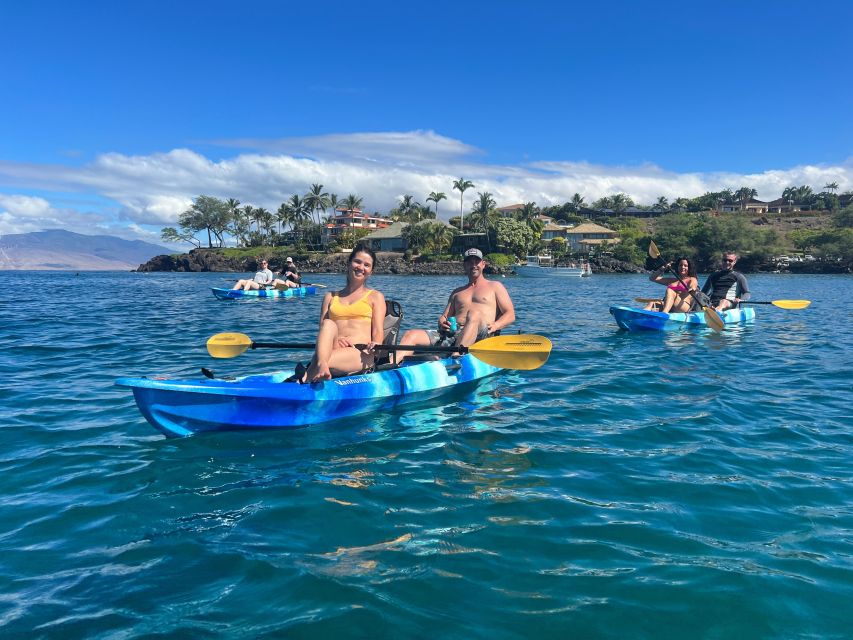 Kayak, Whale Watch And Snorkel At Turtle Town - Who This Tour Is Best For