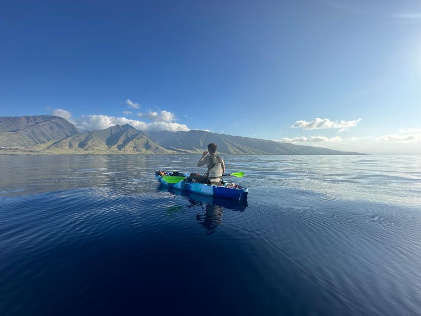 Kayak, Whale Watch And Snorkel At Turtle Town - Final Thoughts