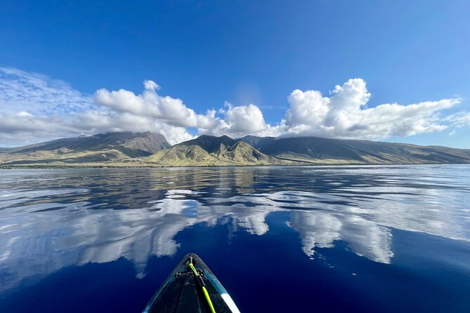 Kayak, Whale Watch, and Snorkel With Optional Photo and Video - Transitioning to Snorkeling