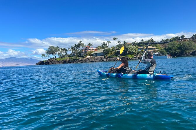 Kayak, Whale Watch, and Snorkel With Optional Photo and Video - Who Might Want to Consider Other Options?