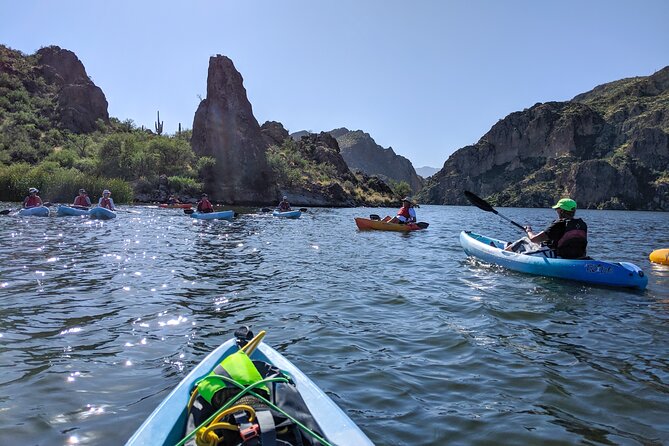 Kayaking 2 Hr Canyon & Cliffside on Saguaro Lake - What to Expect During the Trip