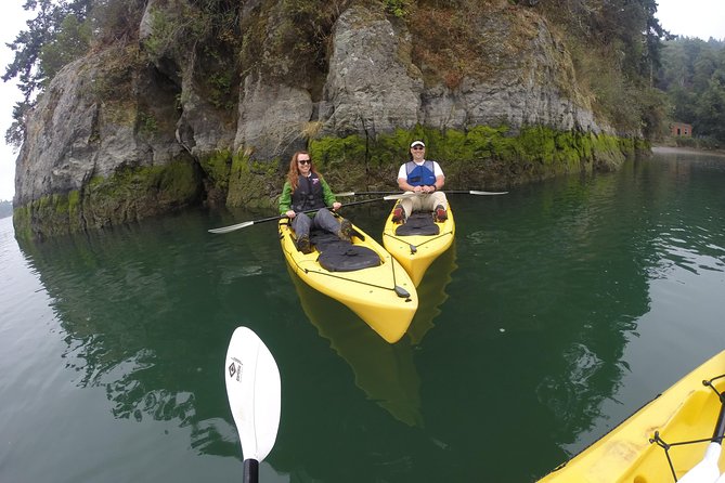 Kayaking Brookings Chetco River - An In-Depth Look at the Kayaking Experience in Brookings