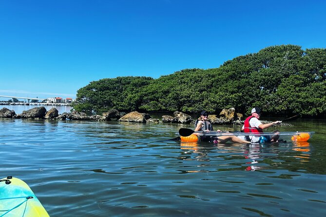 Kayaking Clear through Clearwater - Why This Tour Offers Great Value