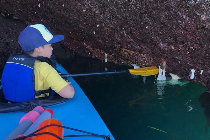 Kayaking in Deception Pass State Park - Deep Dive into the Itinerary