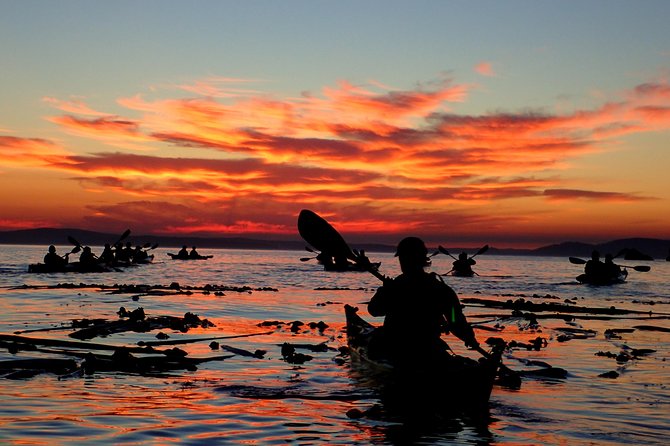 Kayaking in Deception Pass State Park - Why This Tour Offers Good Value