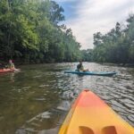 Kayaking on the Roanoke River - Why This Tour Is Worth It