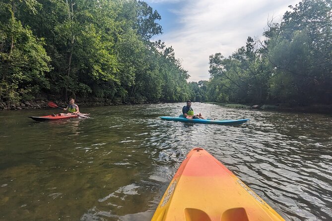 Kayaking on the Roanoke River - Why This Tour Is Worth It